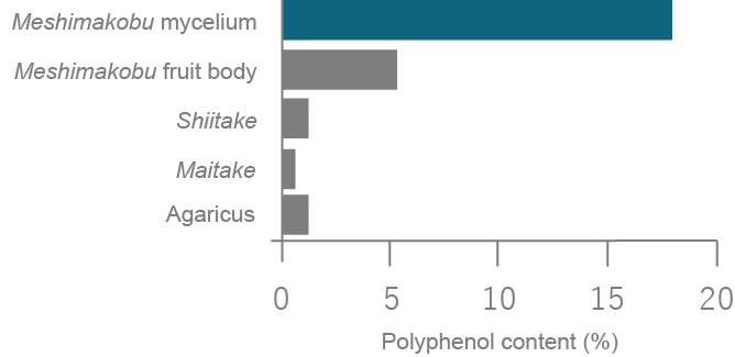 Meshimakobu Mycelium | Yaegaki Biotechnology, Inc.