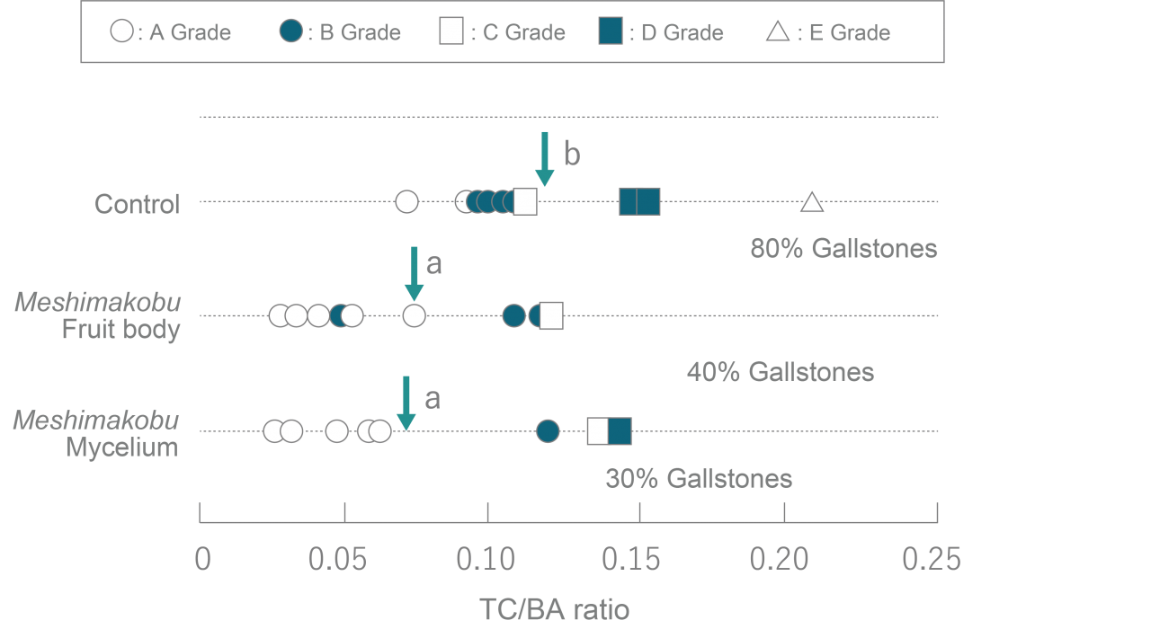 Meshimakobu Mycelium | Yaegaki Biotechnology, Inc.